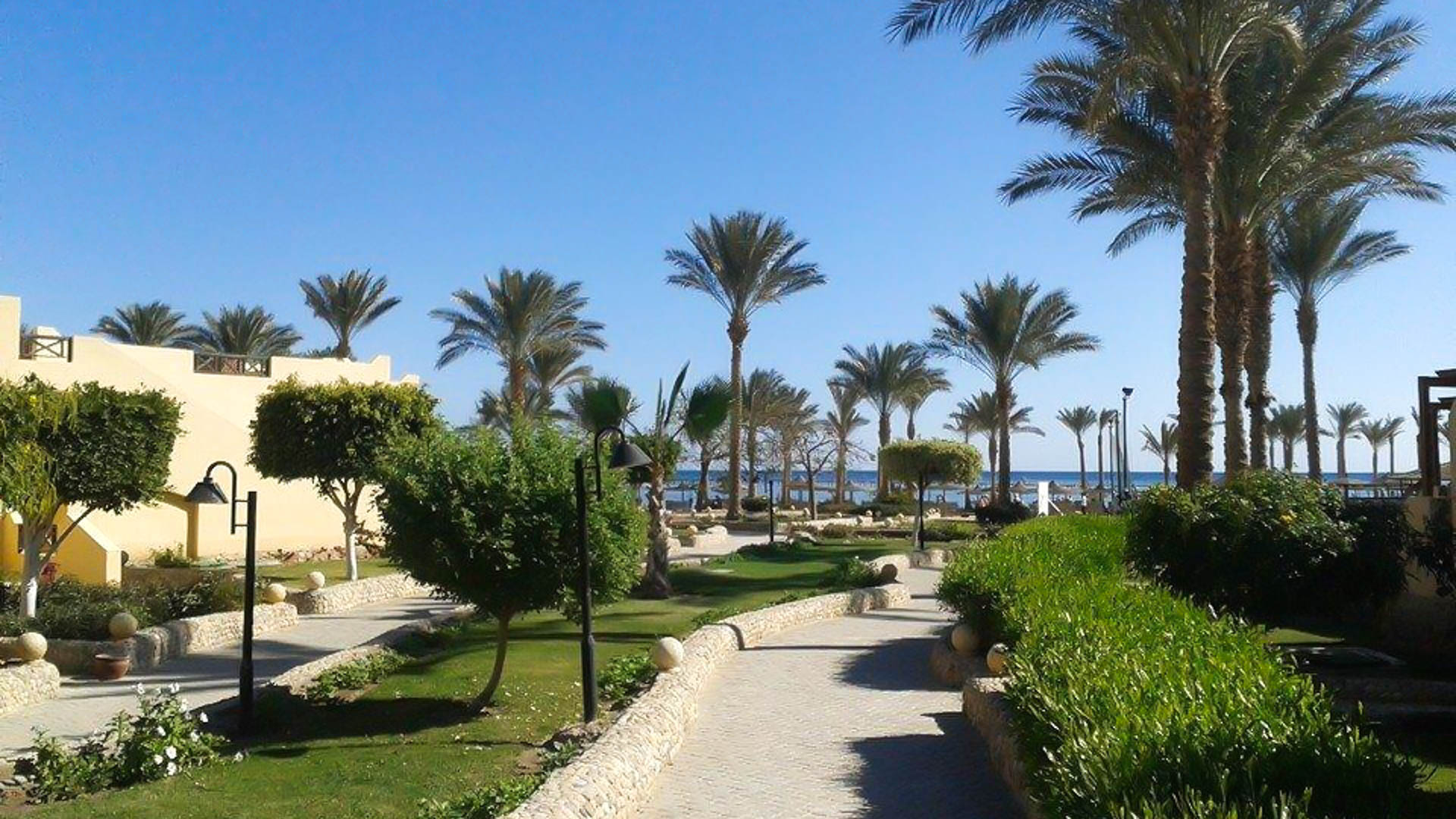 Elphistone, Marsa Alam - Egitto