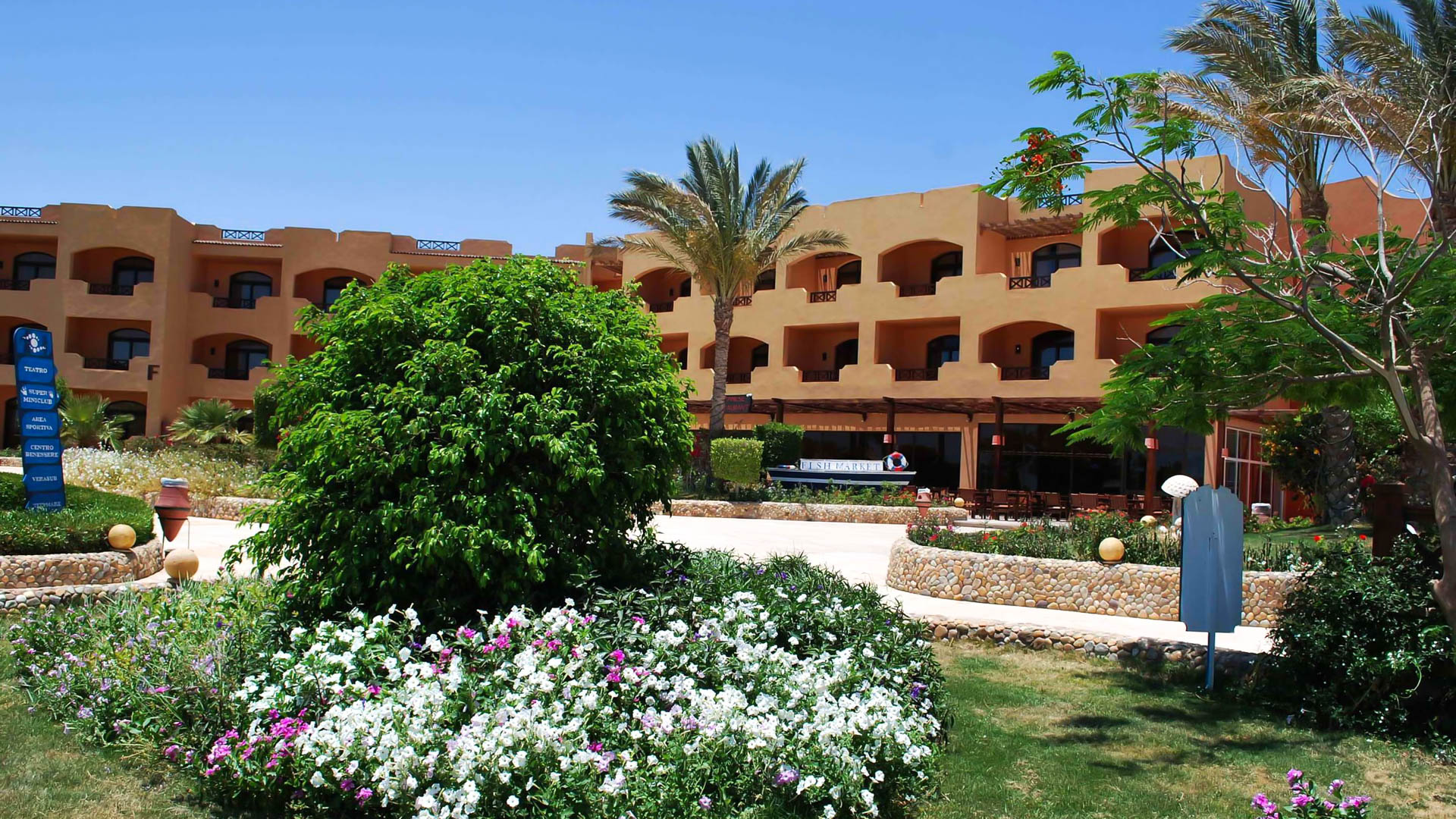 Elphistone, Marsa Alam - Egitto