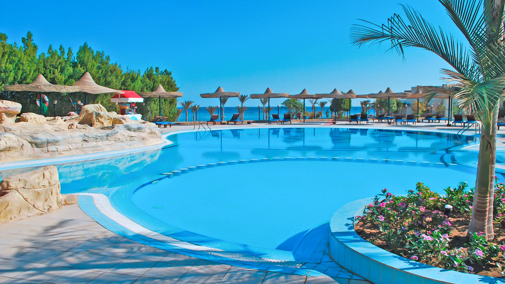 Elphistone, Marsa Alam - Egitto